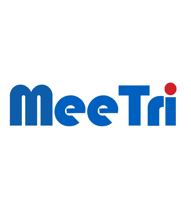 MeeTri Infotech: Custom Software Solutions for Growth